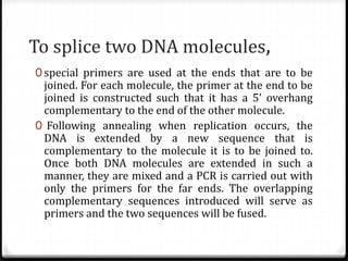 Polymerase chain reaction and its types | PPTX