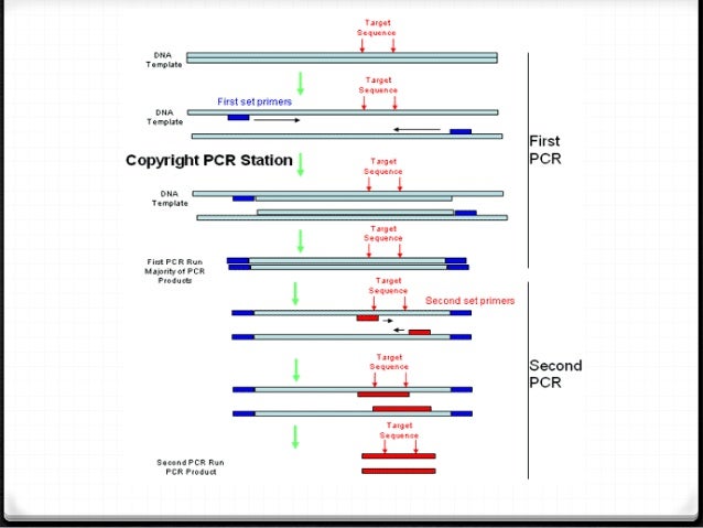 Touchdown pcr - tablelopers