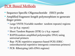 Polymerase chain reaction | PPT