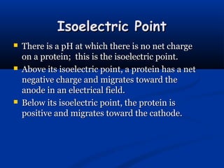Polymerase chain reaction & electrophoresis | PPT
