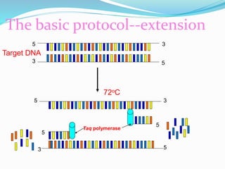 Polymerase chain reaction and it’s modifications | PPTX