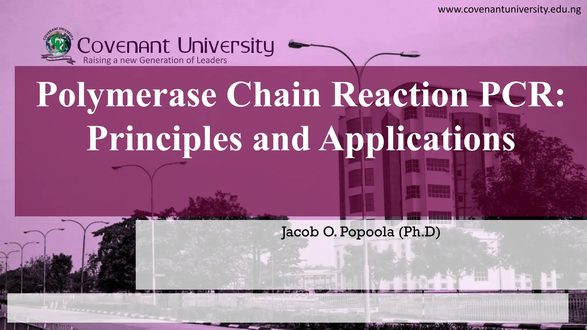 Polymerase Chain Reaction Lecture.pdf