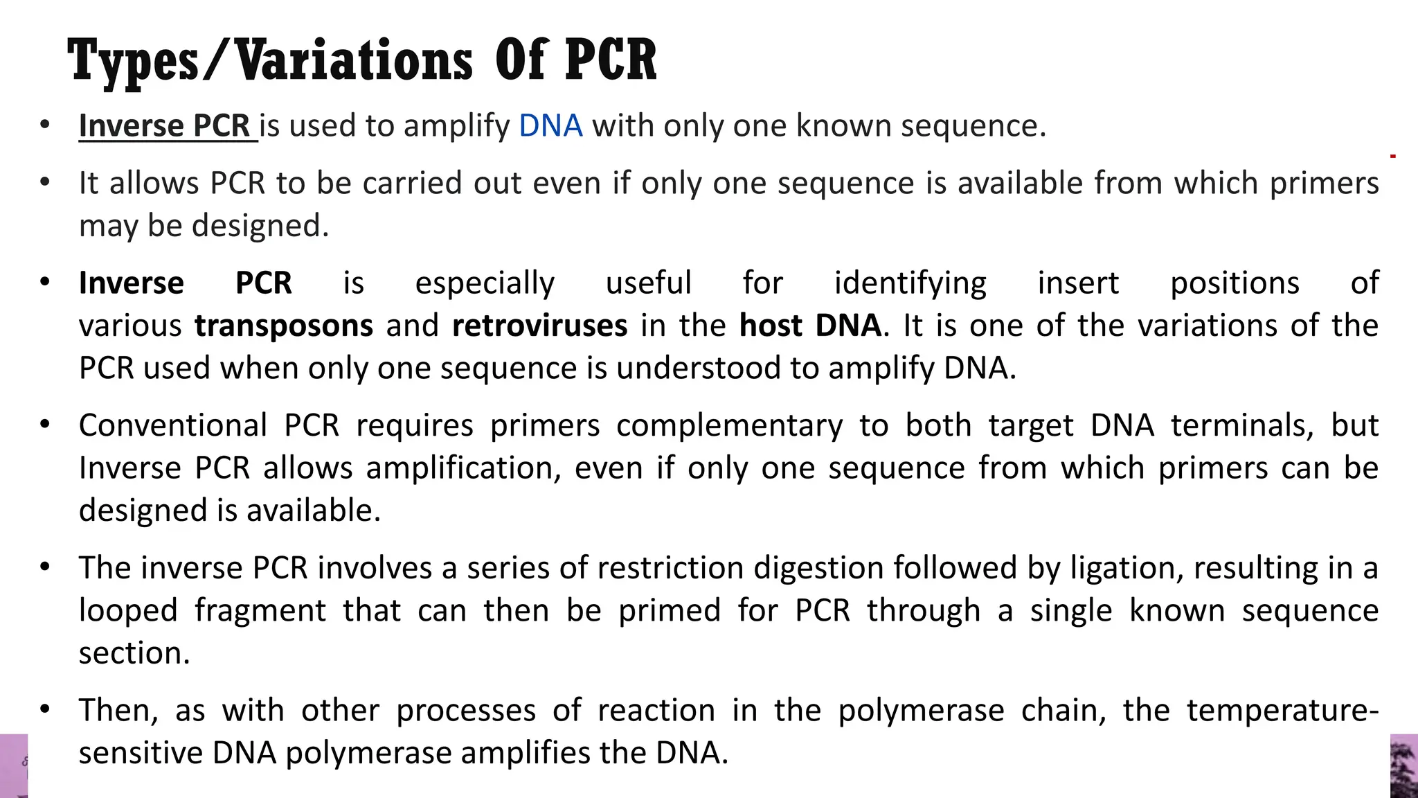 Polymerase Chain Reaction Lecture.pdf