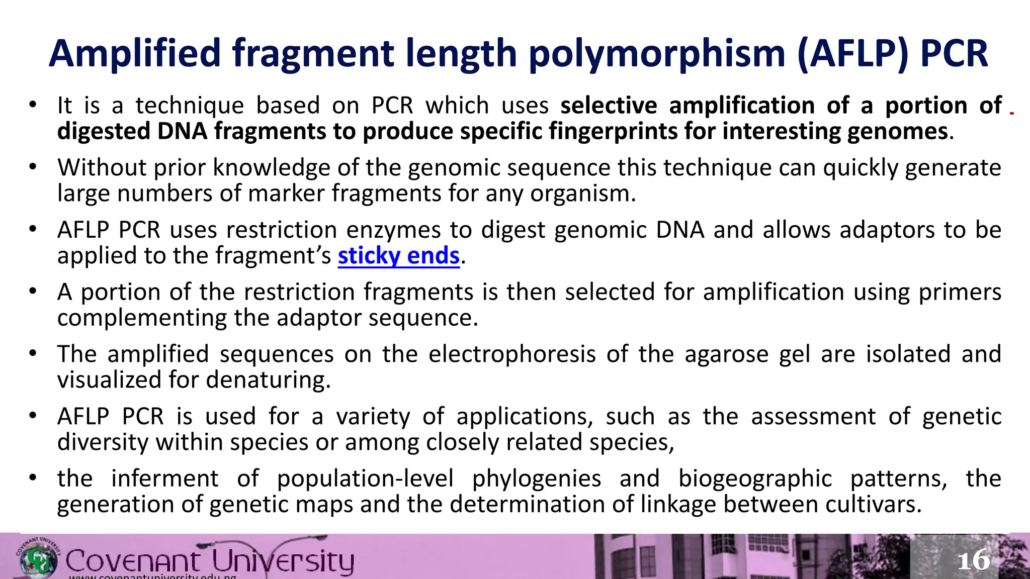 Polymerase Chain Reaction Lecture.pdf