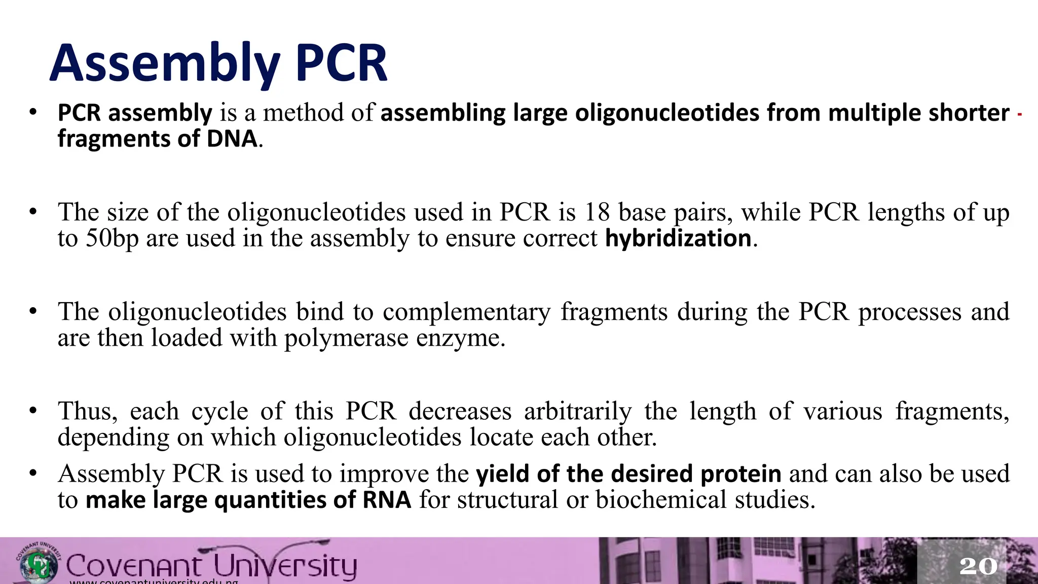 Polymerase Chain Reaction Lecture.pdf