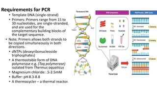 Polymerase Chain Reaction Lecture.pdf