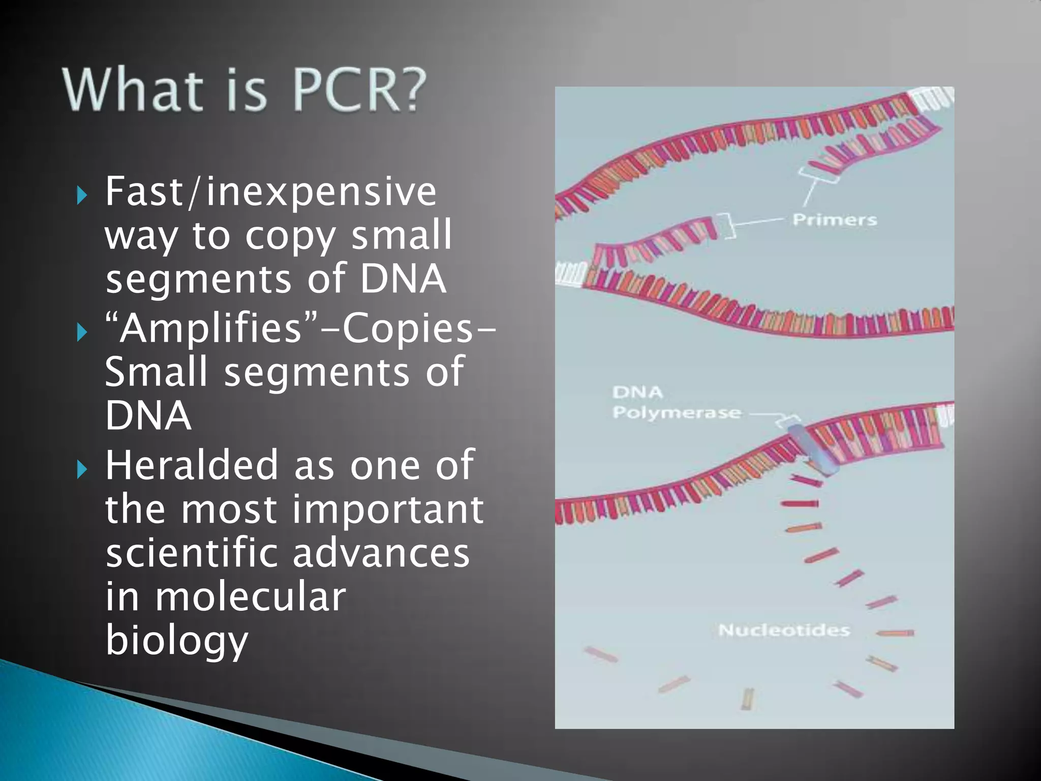 Polymerase chain reaction (pcr) | PPTX | Chemistry | Science