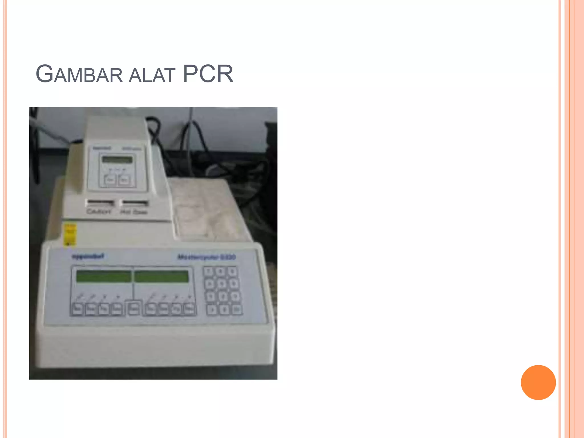 Polymerase chain reaction (pcr) | PPTX