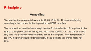 Polymerase chain reaction (pcr) | PPT