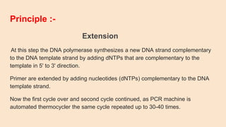 Polymerase chain reaction (pcr) | PPT