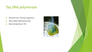 Polymerase chain reaction(PCR) | PPTX