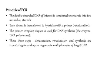 Polymerase Chain Reaction (PCR) | PPT