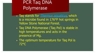 Polymerase chain reaction (pcr) | PPTX