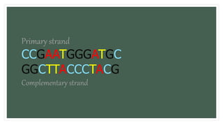 Polymerase chain reaction (pcr) | PPTX