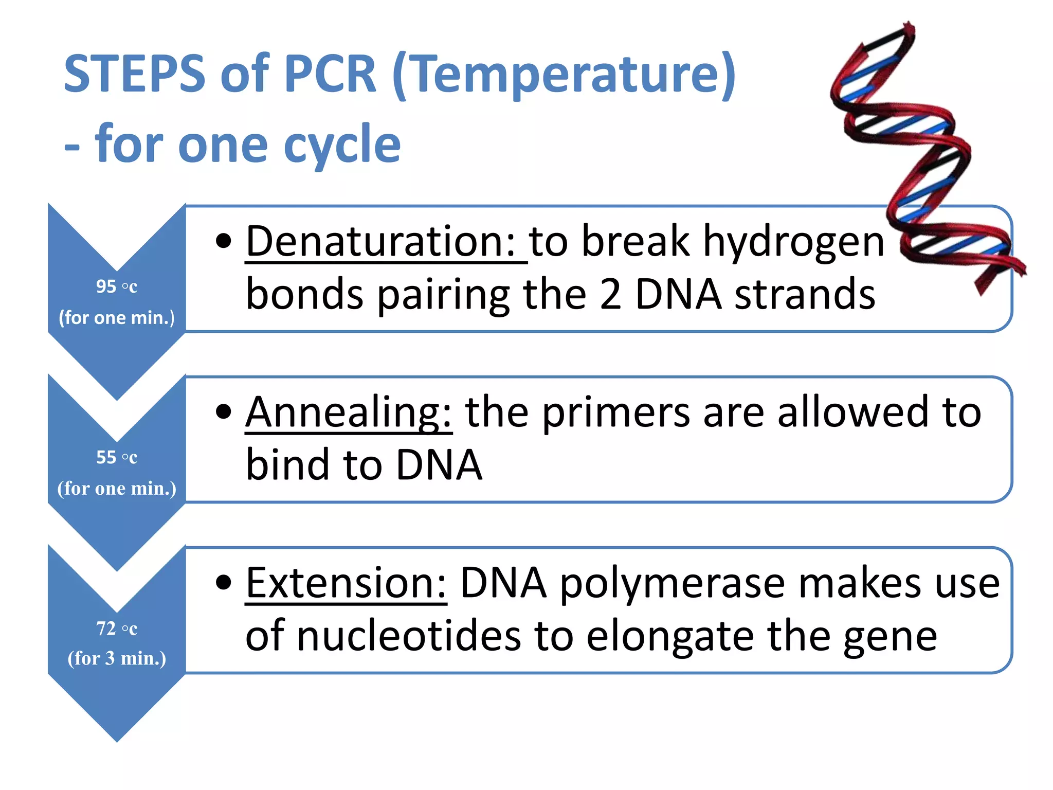 Polymerase chain reaction (PCR) | PPTX