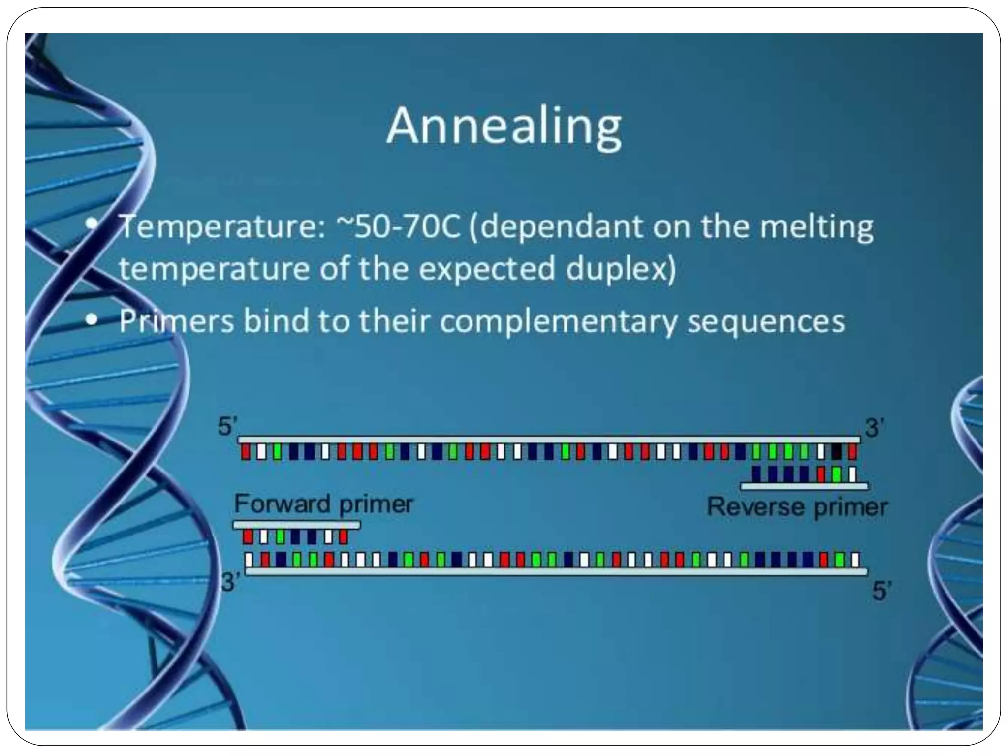 Polymerase chain reaction(pcr) | PPT