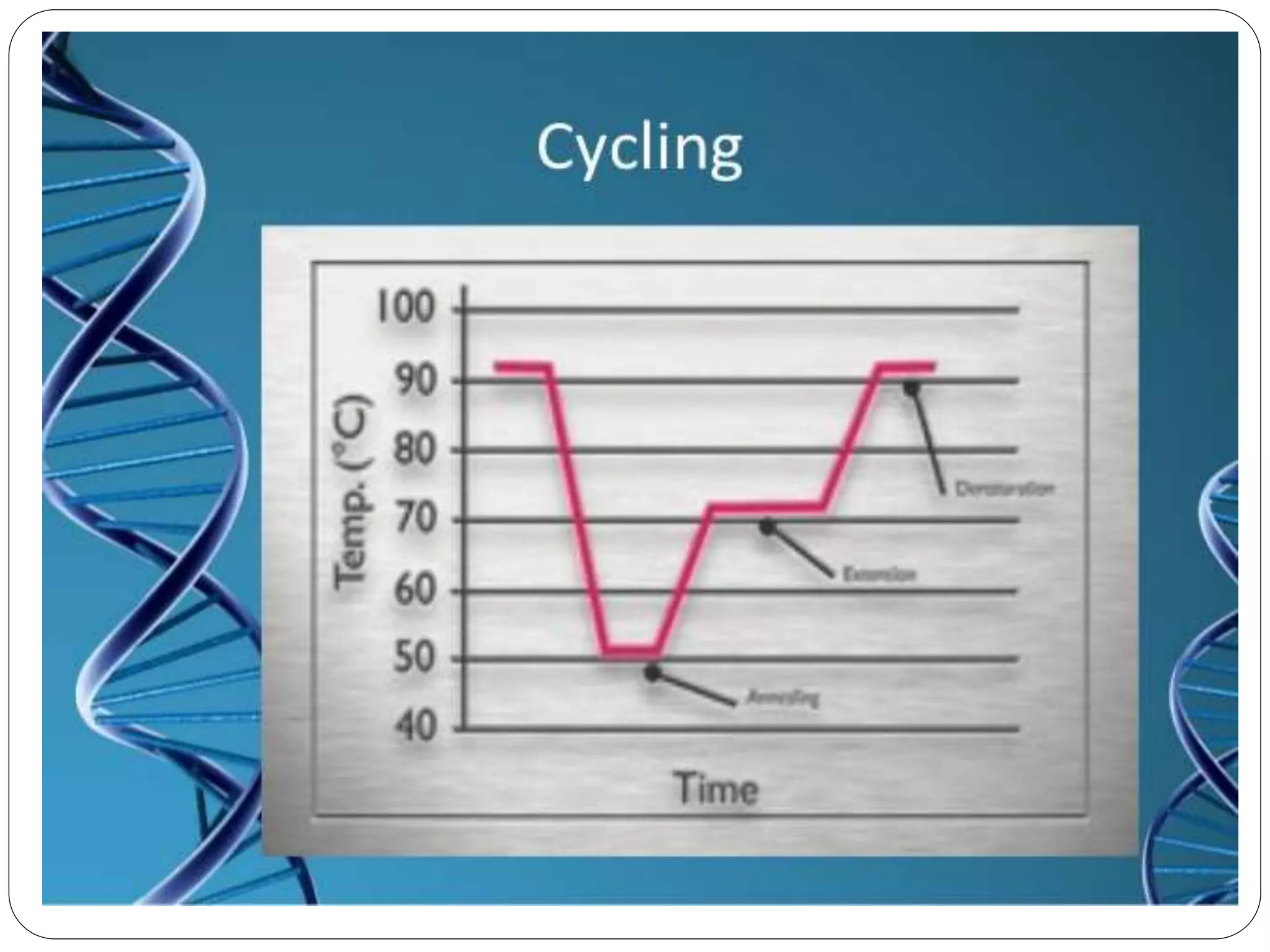 Polymerase chain reaction(pcr) | PPT