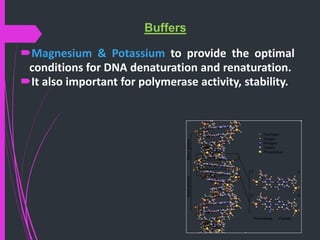 Polymerase chain reaction (pcr) | PPTX