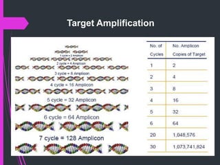 Polymerase chain reaction (pcr) | PPTX