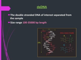 Polymerase chain reaction (pcr) | PPTX