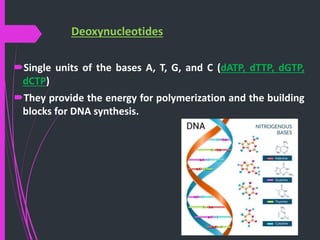 Polymerase chain reaction (pcr) | PPTX