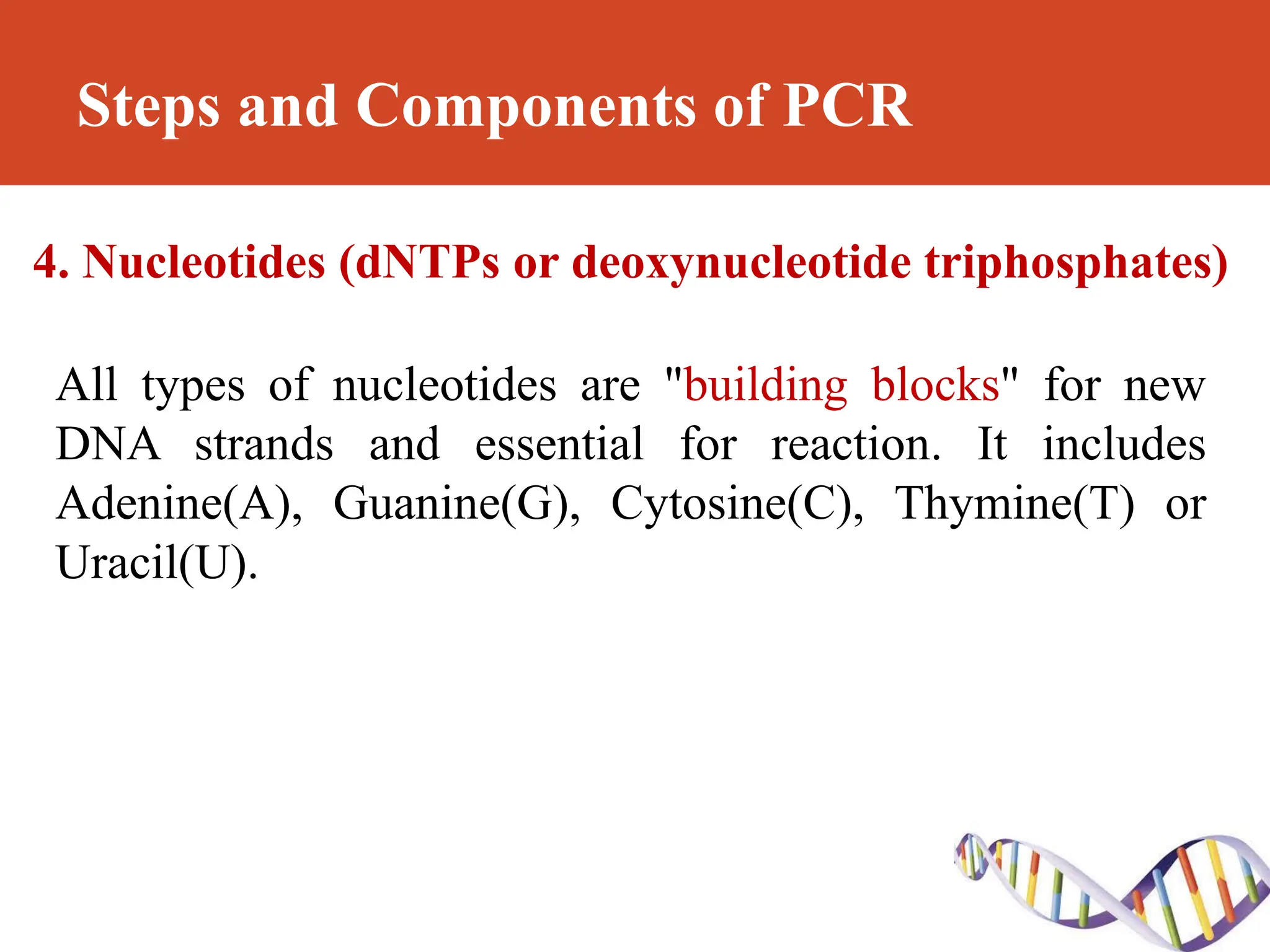Polymerase Chain Reaction (PCR).pdf