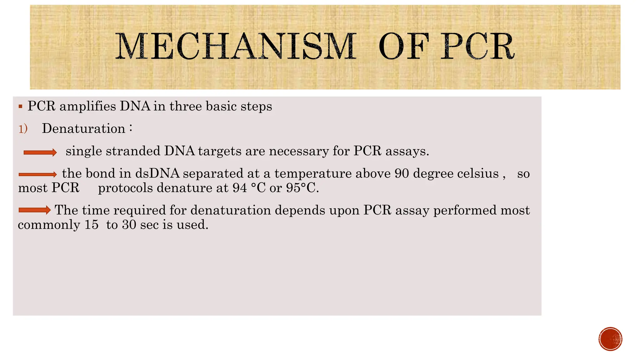 POLYMERASE CHAIN REACTION(PCR) microbiology | PPT