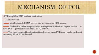 POLYMERASE CHAIN REACTION(PCR) microbiology | PPTX