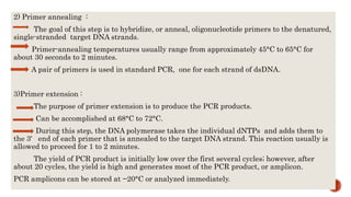 POLYMERASE CHAIN REACTION(PCR) microbiology | PPT