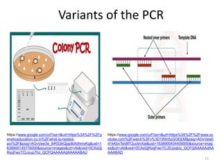 Polymerase chain reaction(PCR) presentationpptx | PPTX