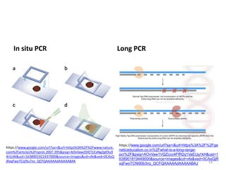 Polymerase chain reaction(PCR) presentationpptx | PPTX