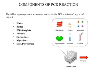 biotechnology POLYMERASE CHAIN REACTION (PCR).pptx