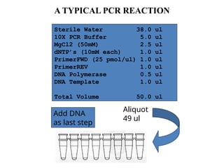 biotechnology POLYMERASE CHAIN REACTION (PCR).pptx