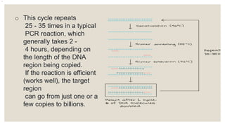 POLYMERASE CHAIN REACTION(PCR)-subina sunar.pptx
