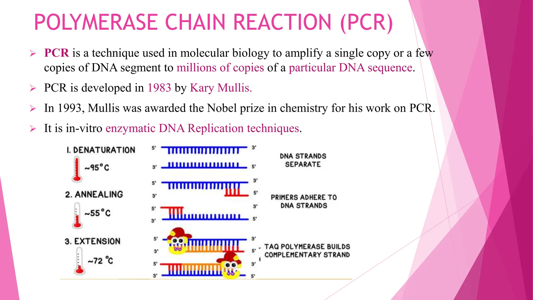 POLYMERASE CHAIN REACTION (PCR) AND ENZYME-LINKED.pptx