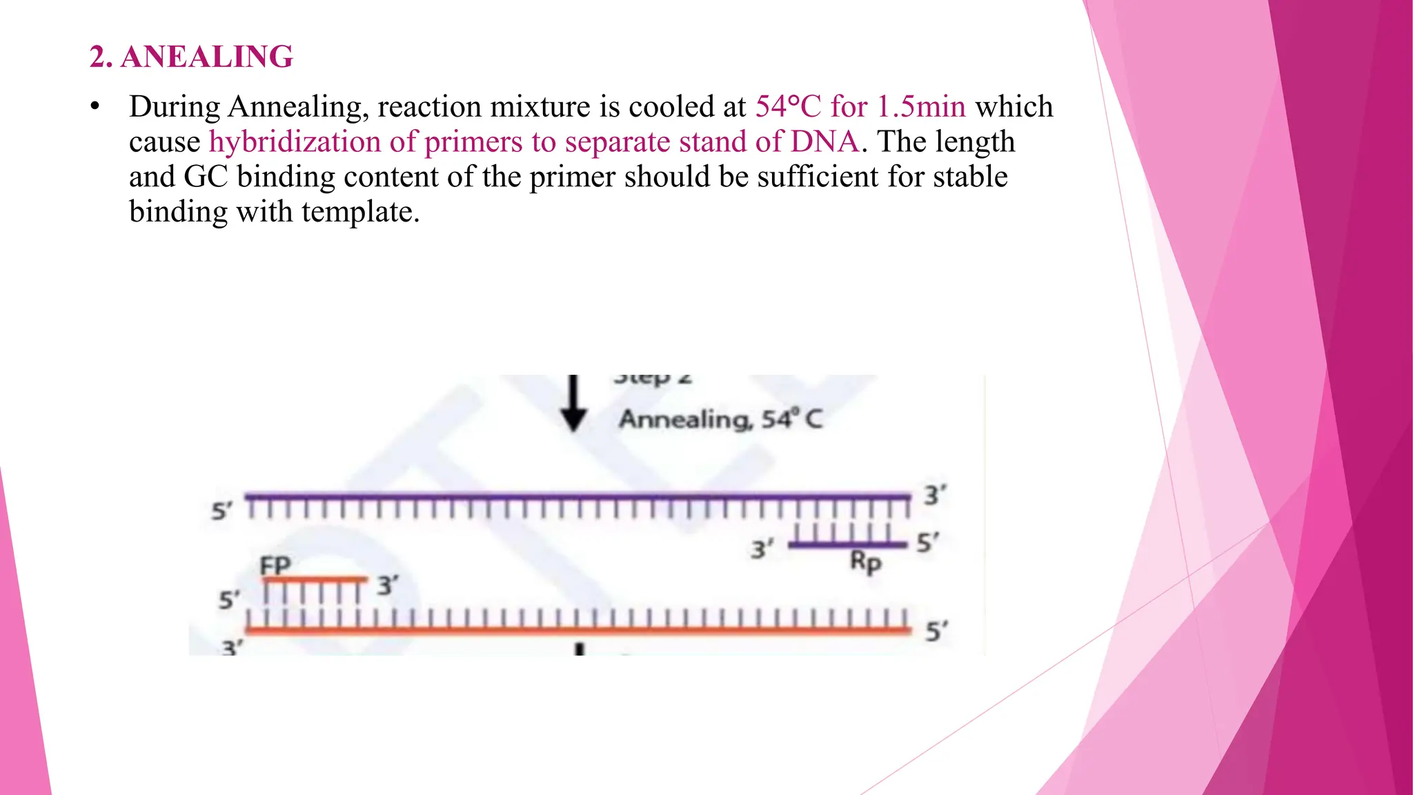 POLYMERASE CHAIN REACTION (PCR) AND ENZYME-LINKED.pptx