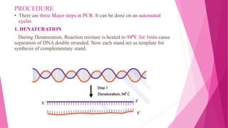 POLYMERASE CHAIN REACTION (PCR) AND ENZYME-LINKED.pptx