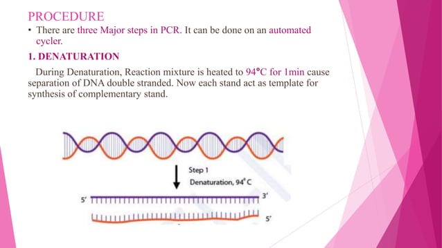 POLYMERASE CHAIN REACTION (PCR) AND ENZYME-LINKED.pptx