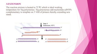 POLYMERASE CHAIN REACTION (PCR) AND ENZYME-LINKED.pptx