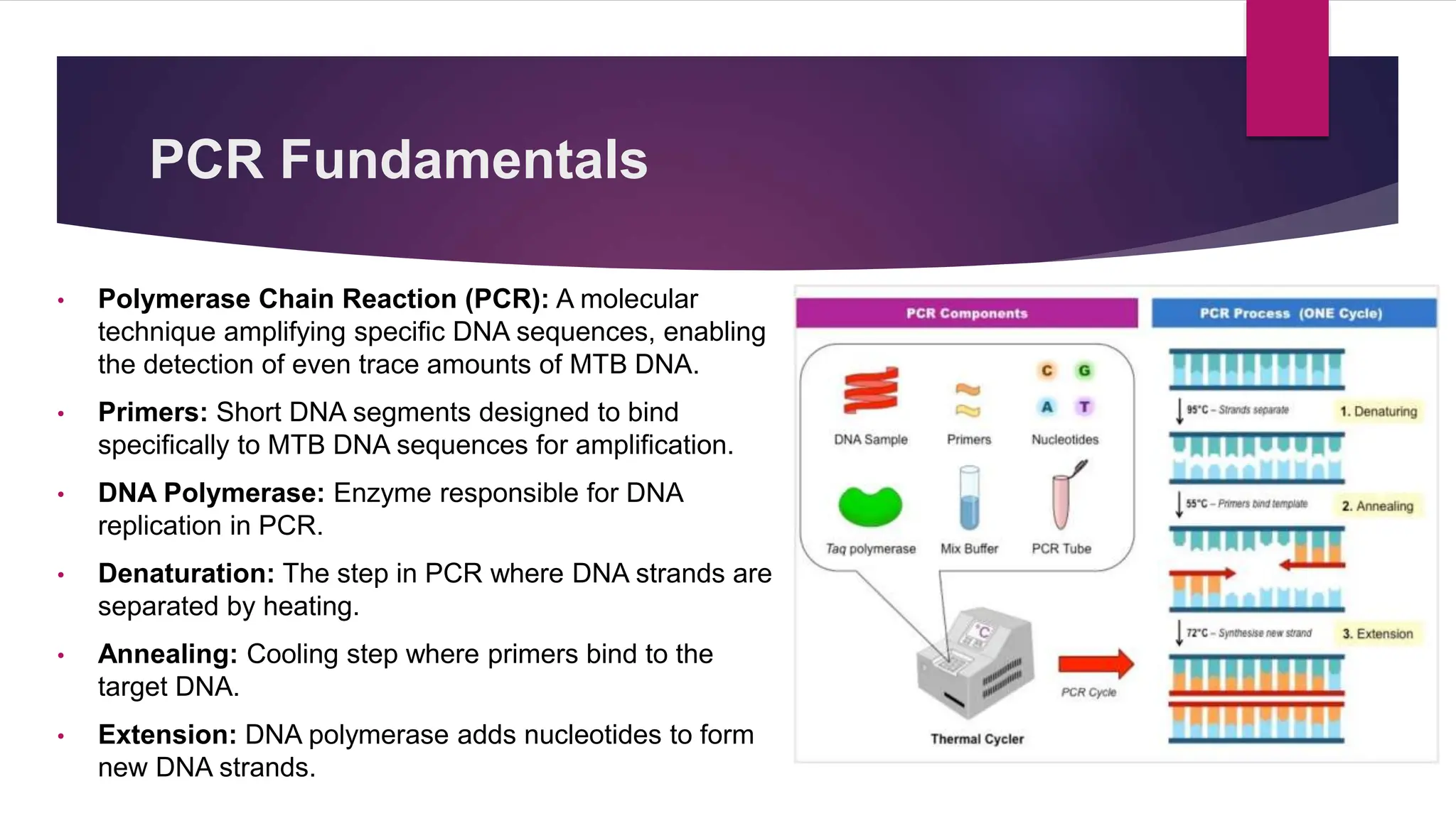 Polymerase Chain Reaction (PCR) for Mycobacterium.pptx