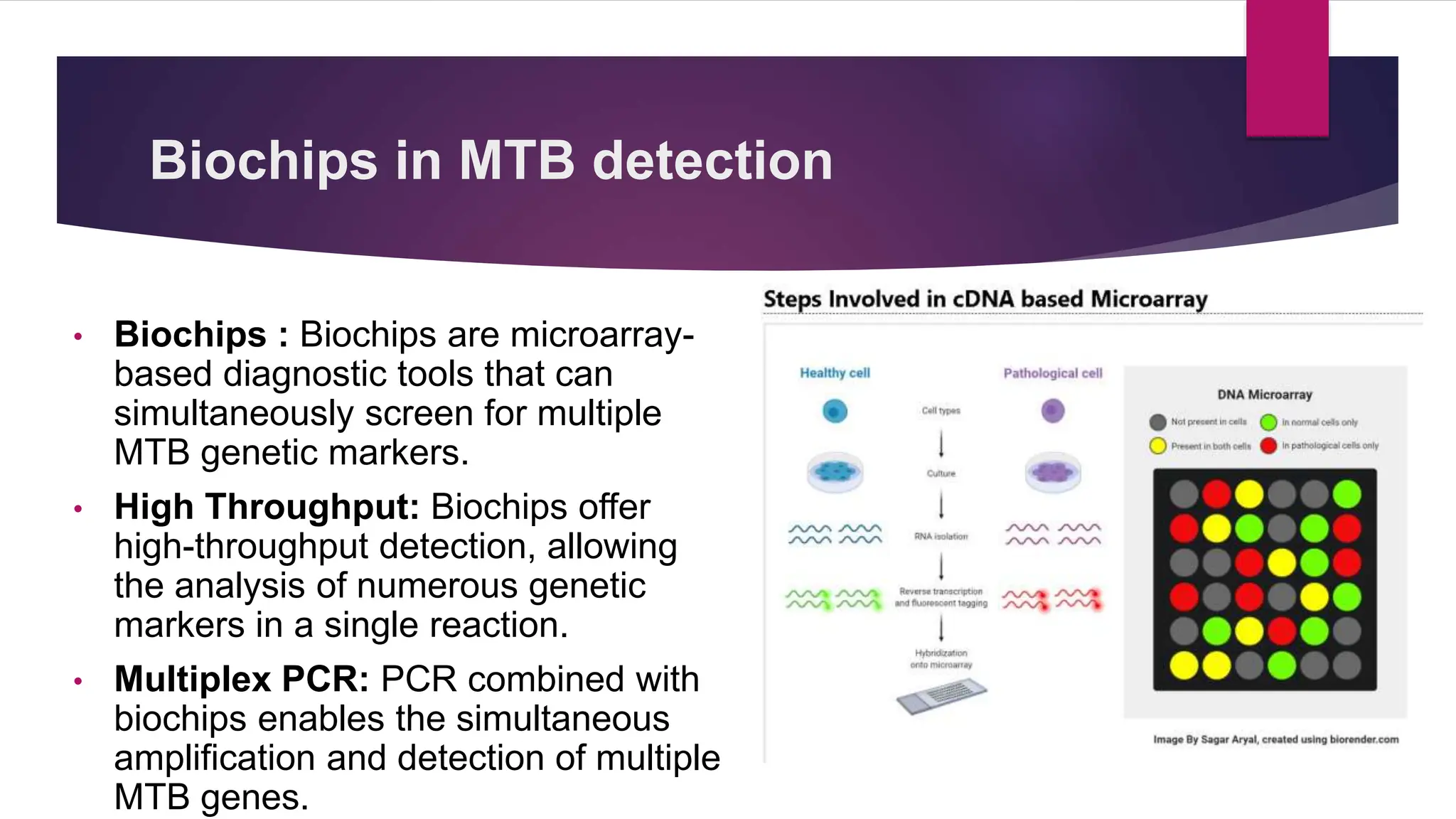 Polymerase Chain Reaction (PCR) for Mycobacterium.pptx