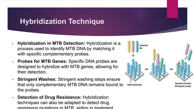 Polymerase Chain Reaction (PCR) for Mycobacterium.pptx
