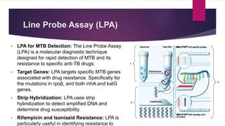 Polymerase Chain Reaction (PCR) for Mycobacterium.pptx