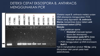 Polymerase Chain Reaction (PCR) ke 3.pptx