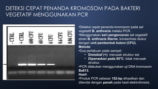 Polymerase Chain Reaction (PCR) ke 3.pptx