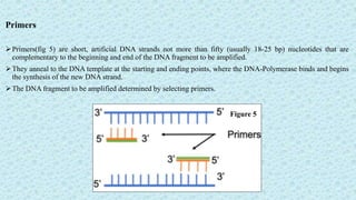 Polymerase Chain Reaction(PCR) Likhith K | PPTX