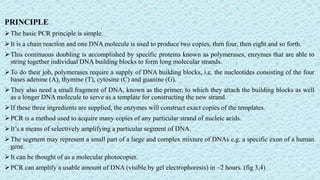 Polymerase Chain Reaction(PCR) Likhith K | PPTX