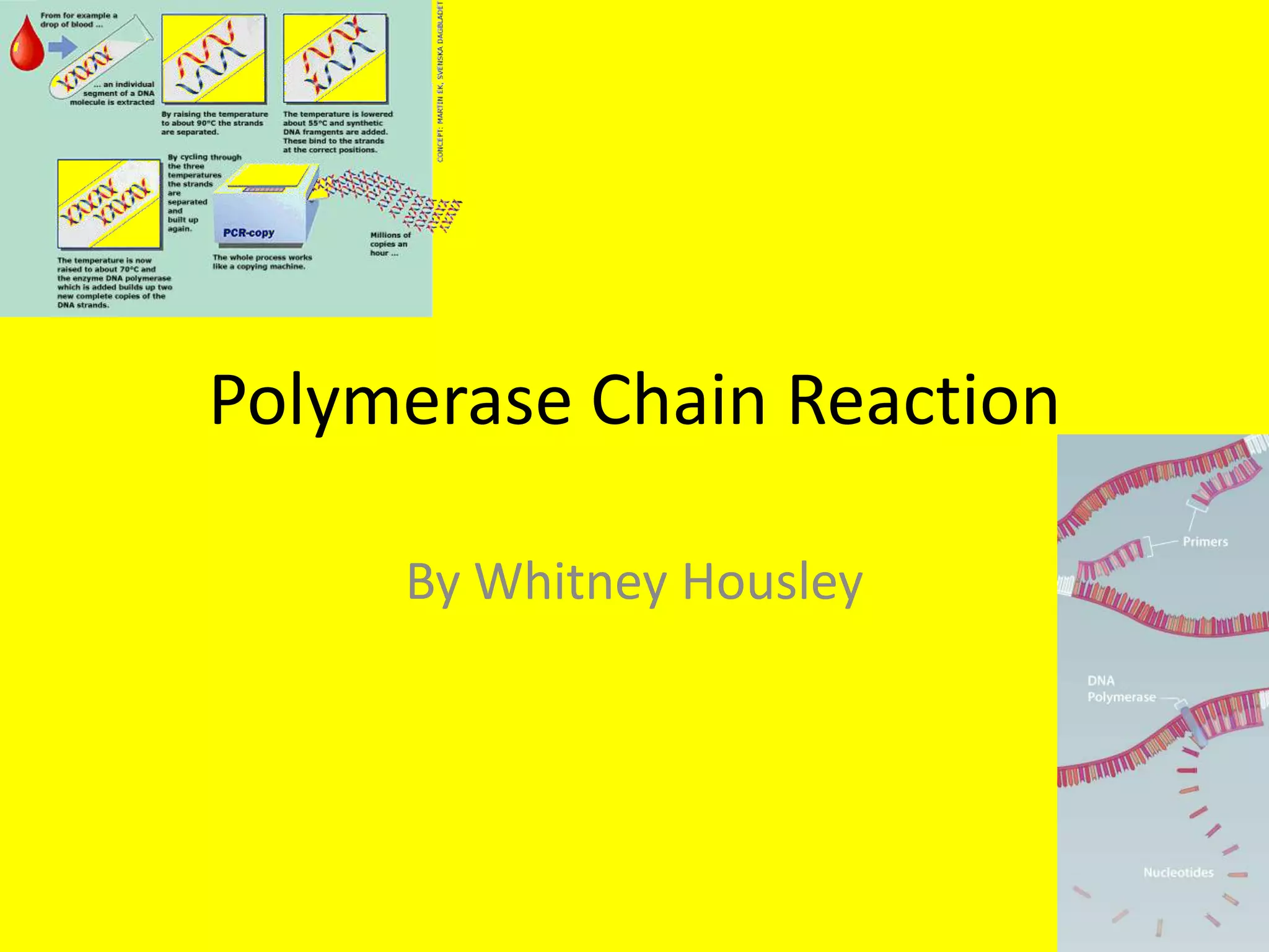 Polymerase chain reaction powerpoint | PPTX
