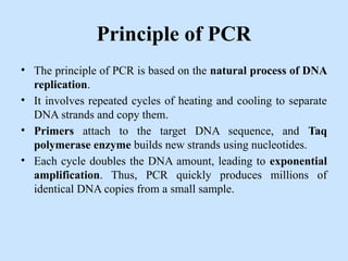 Polymerase Chain Reaction PCR and its principal.pptx