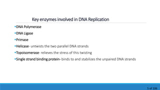 Polymerase chain reaction Pranav | PPTX